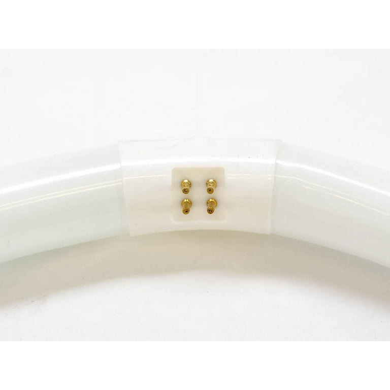 Philips Circline Fluorescent Light Bulb | Shelly Lighting