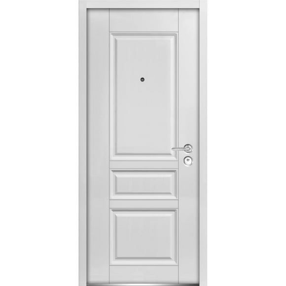 30 X 80 Exterior Door Right Hand Inswing