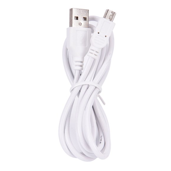 Type B Charger