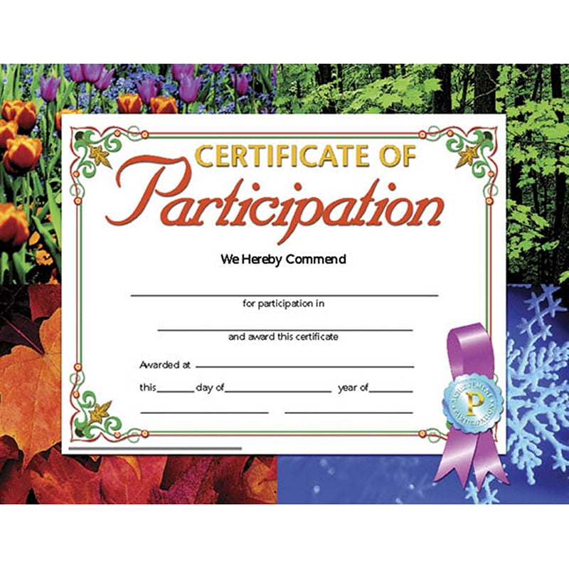 Certificate of Participation, 8.5" x 11", Pack of 30 | Bundle of 10 ...