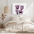 Abstract Purple Canvas Print Wall Art, and Pink Tulip Ray White Wall ...