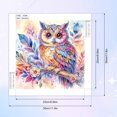 Fixed Eye Owl Diamond Art Painting Kit - Walmart.com
