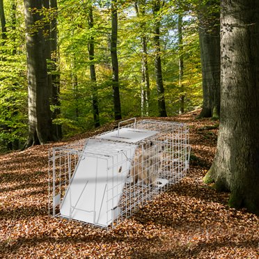 Havahart Easy Set Large Metal 1-Door Wild Animal Trap - Walmart.com