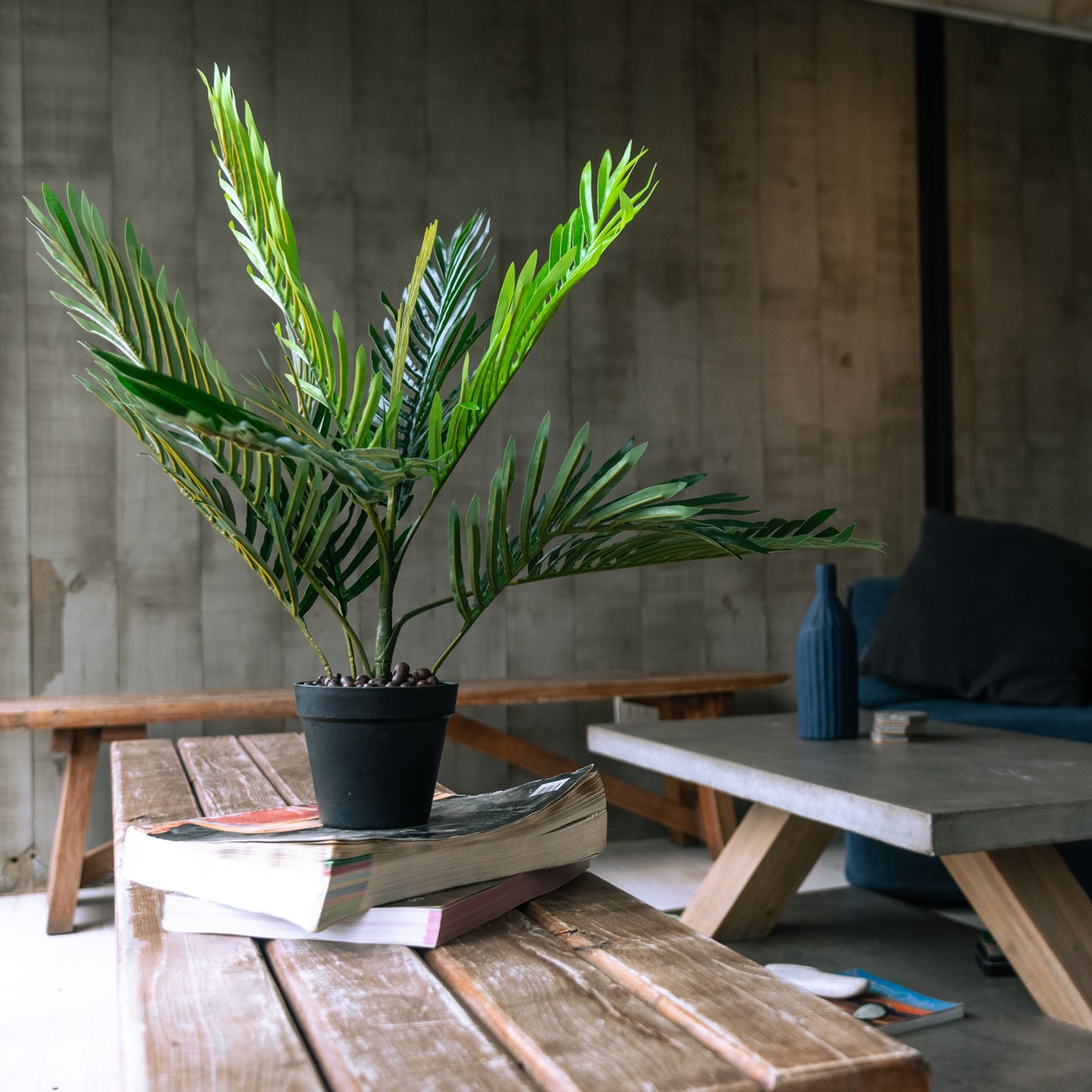 Palmera Mini De 60 Cm | Knasta Chile