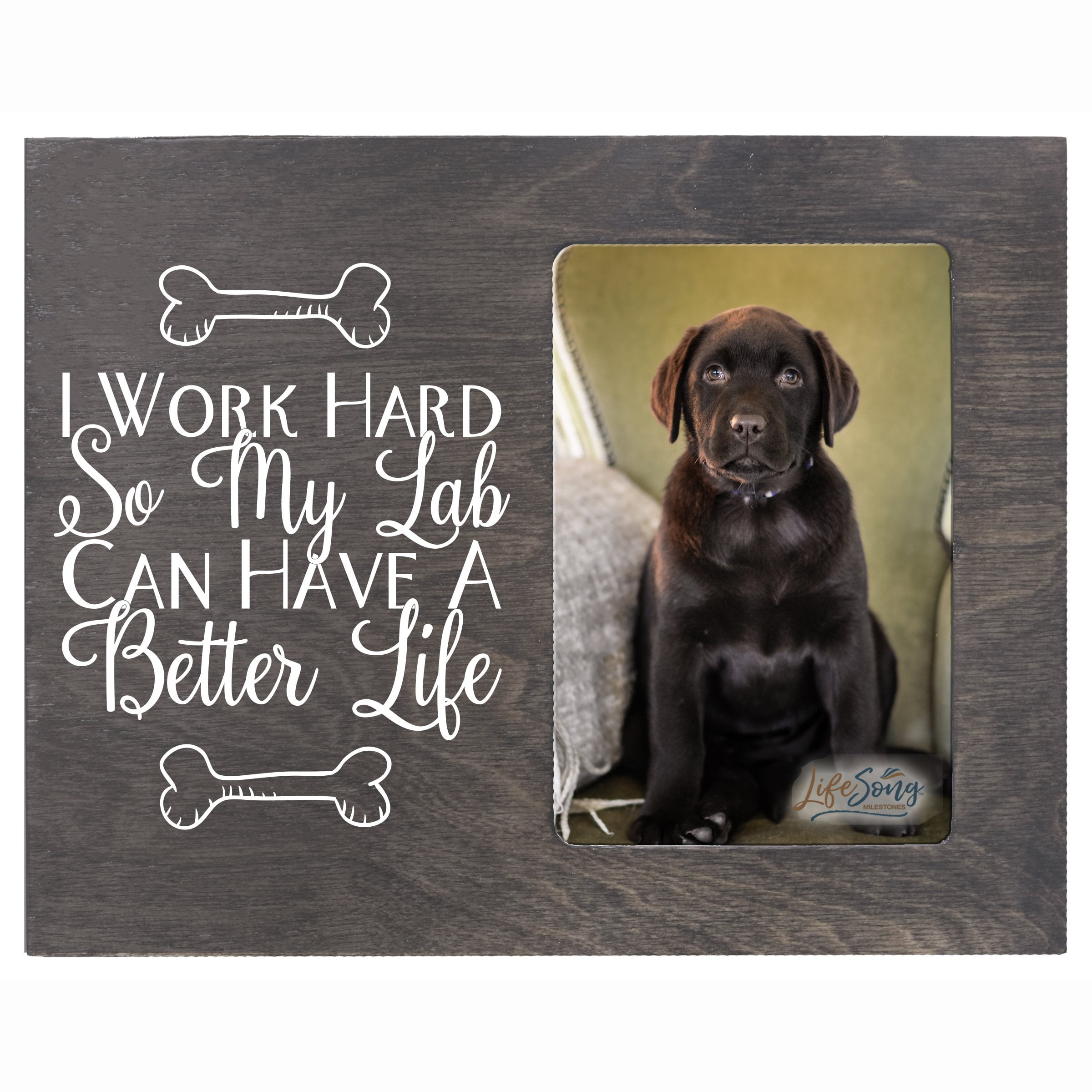 Printed Labrador Retriever Photo Frames - I Work Hard - Walmart.com
