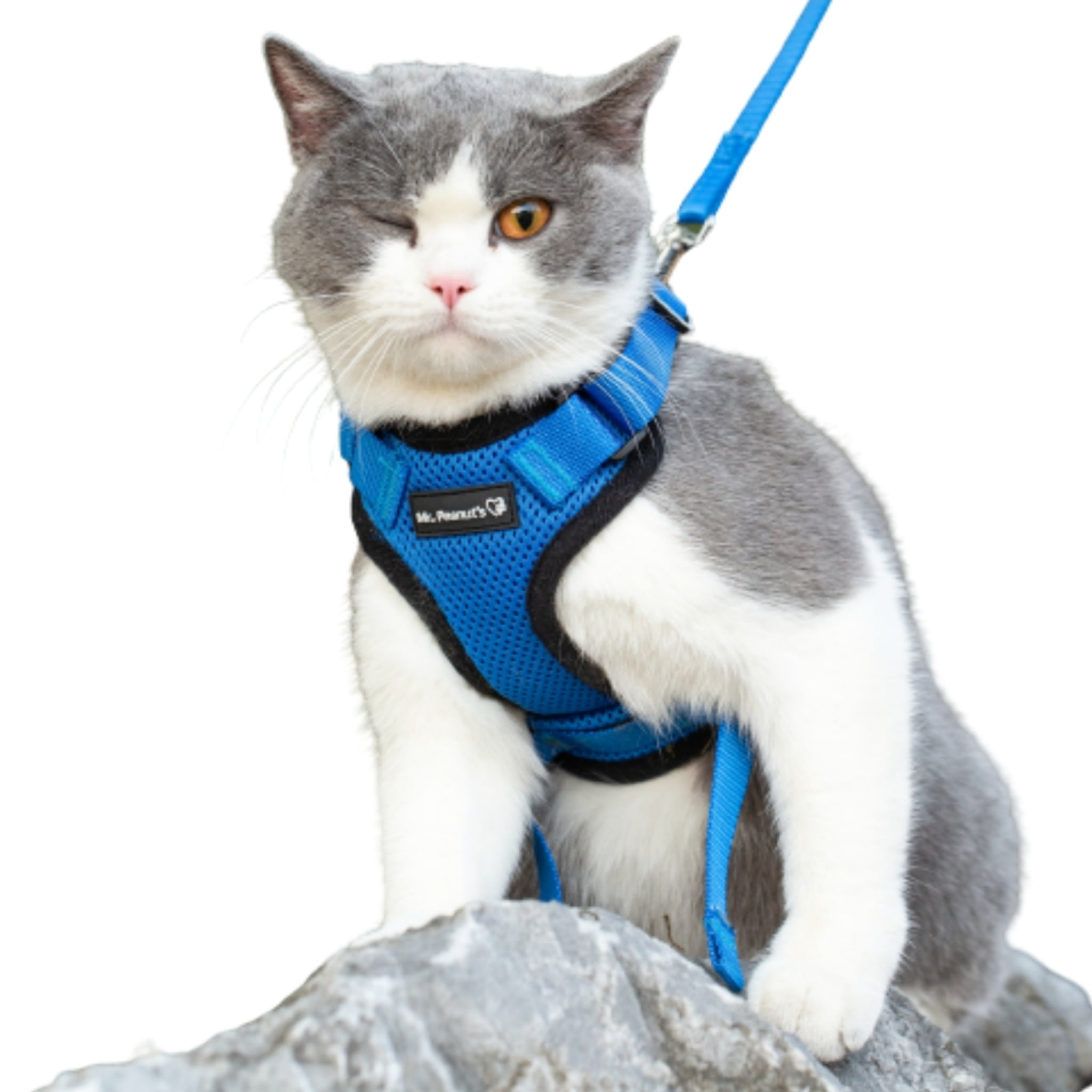 Mr. Peanut's PurrTrek Reflective Cat Harness with Matching Leash ...