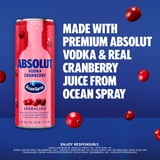 Absolut + Ocean Spray Cranberry Ready to Drink Vodka Cocktail, 4 Pack ...