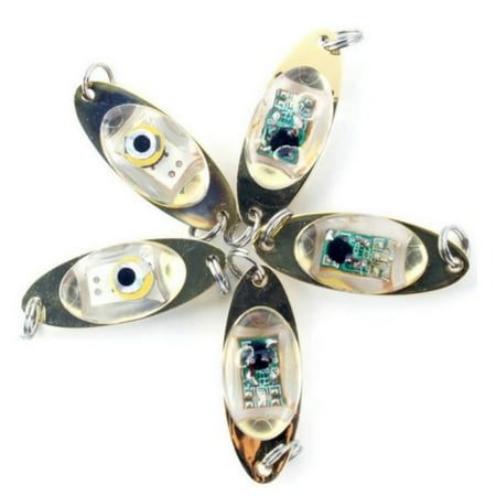 Bait Lamp Illuminated Underwater Fish Trap 3D Embedded Eyes Fishing ...