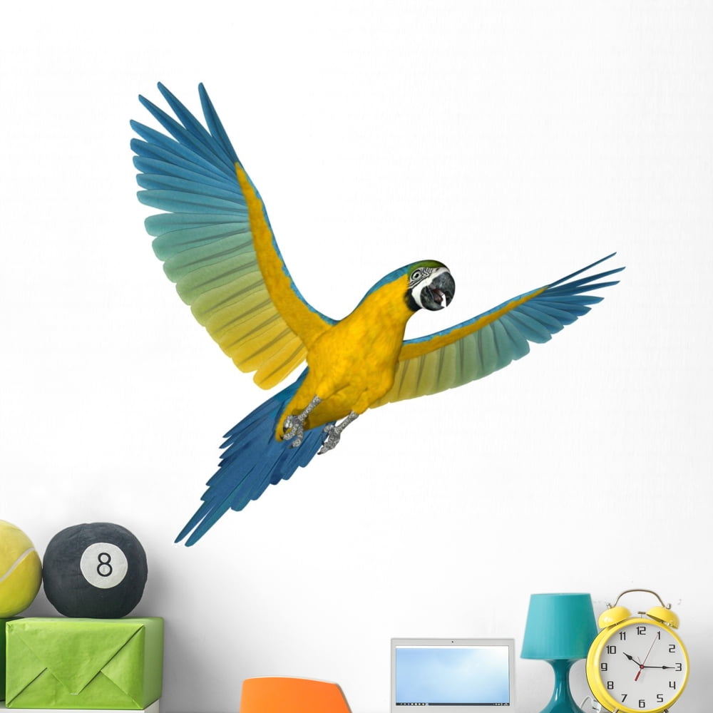 Blue and Gold Macaw Wall Decal by Wallmonkeys Peel and Stick Graphic ...