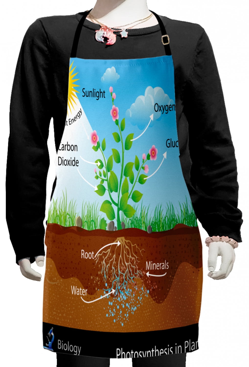 Educational Kids Apron, Photosynthesis in Plant Diagram Biology Botany ...