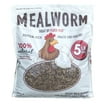 Flock Fest Dried Mealworms for Chickens, Wild Birds, Ducks, and Small ...
