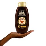 Garnier Whole Blends Ginger Recovery Strengthening Shampoo, 22 fl oz ...