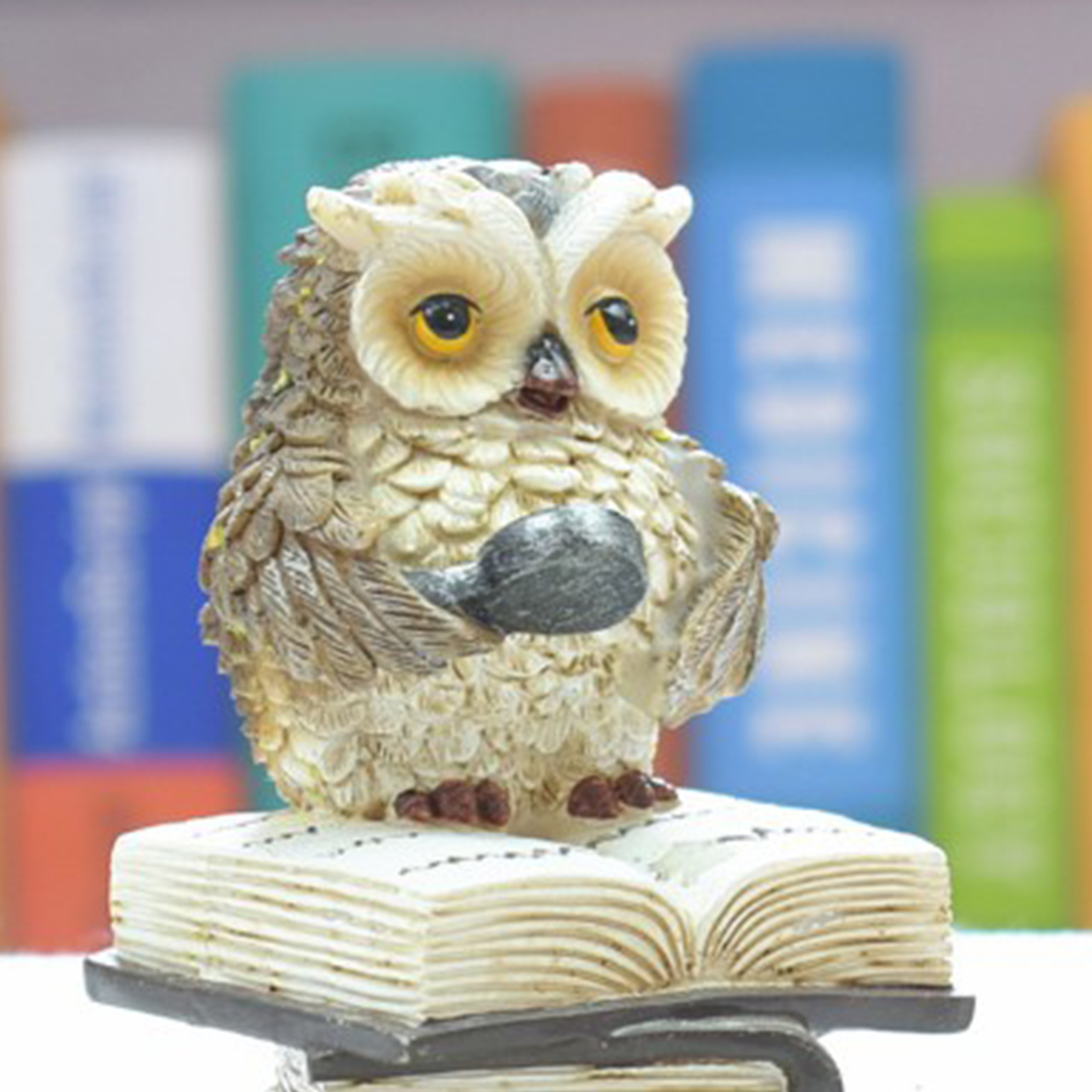 Baby Owl Reading A Book
