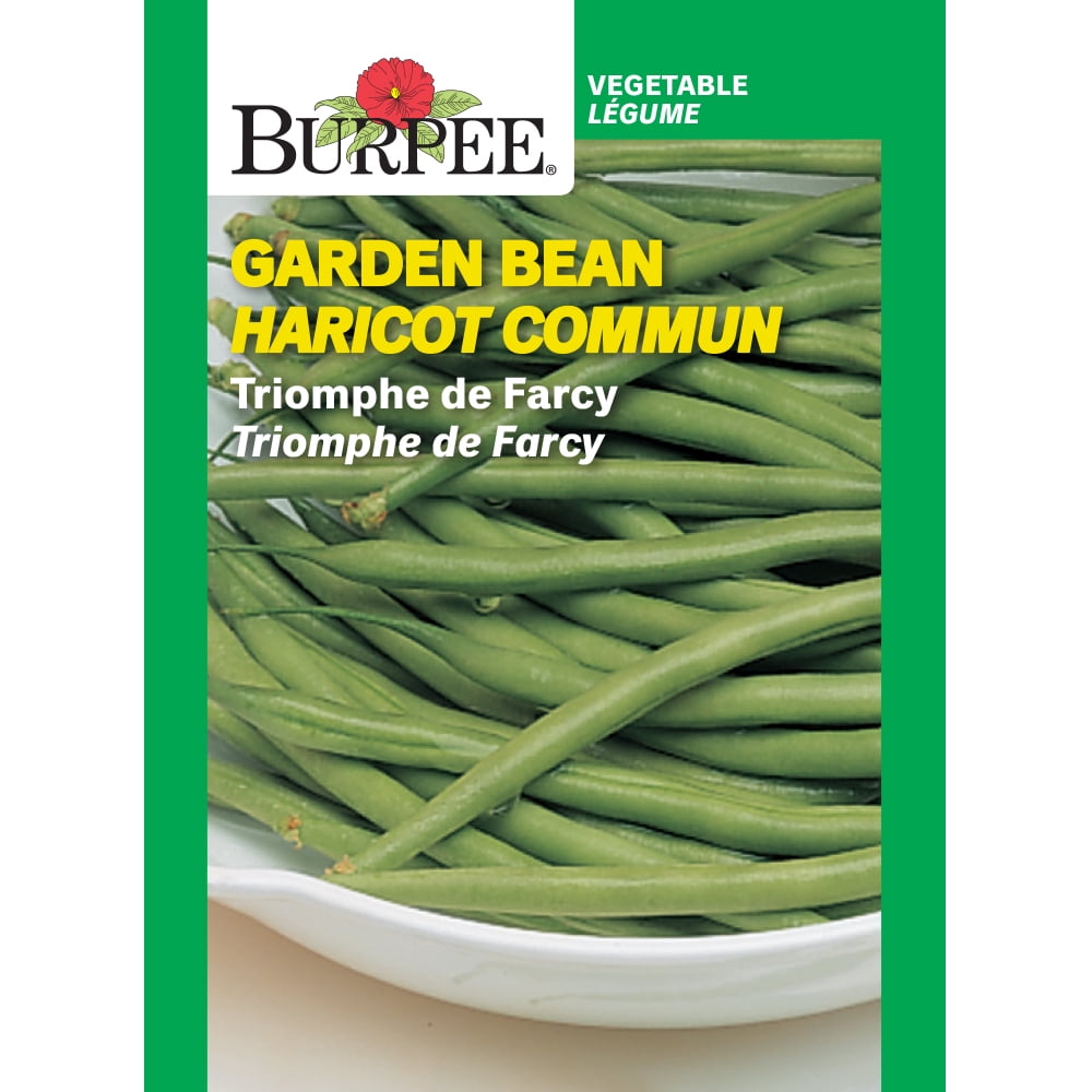 Click here for Burpee Canada Burpee Triomphe De Farcy Bean prices