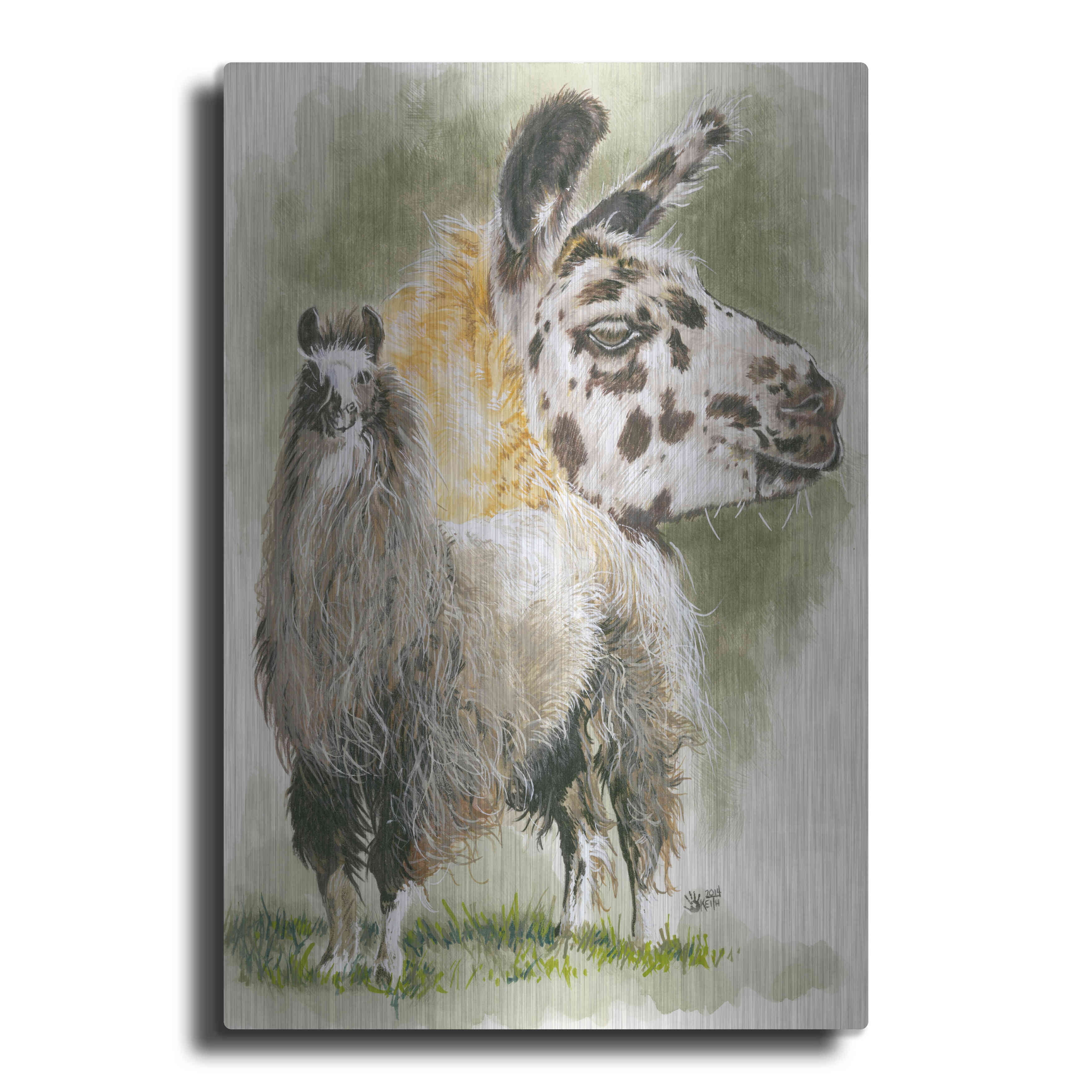 Luxe Metal Art 'Peevish' by Barbara Keith, Metal Wall Art, 12"x16 ...