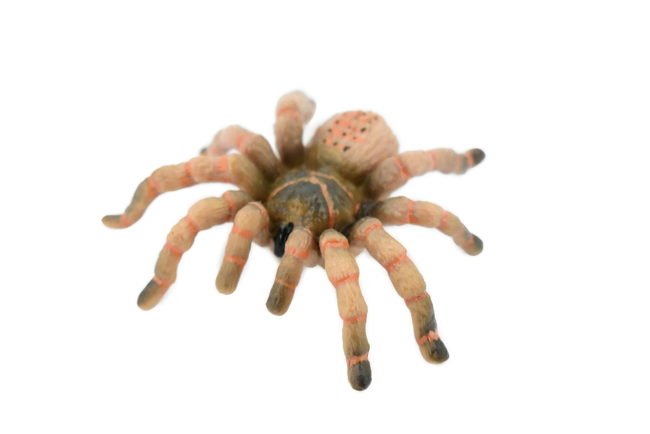 Spider, Wolf Spider, Rubber Insect, Hand Painted, Realistic Toy Figure ...