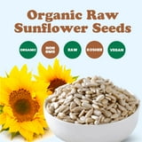 Organic Raw Sunflower Seeds, 18 Pounds — Non-GMO, Raw, Kosher, Vegan ...