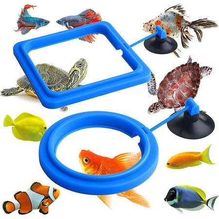 2 Pack Fish Feeding Rings Turtle Fish Feeding Ring Aquarium Accessories ...
