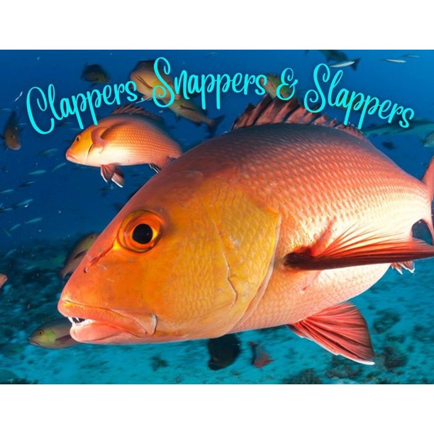 Clapper, Snappers & Slappers - Snapper / Designs by Big Bear Designs ...