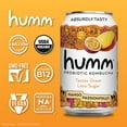 Humm Kombucha, Mango Passionfruit, 12 Pack, 12 oz Cans - Walmart.com