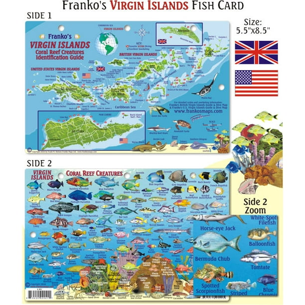 Franko Maps Virgin Islands Fish ID for Scuba Divers and Snorkelers ...
