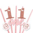 Big Dot of Happiness 1st Birthday Little Miss Onederful - Paper Straw ...