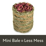 Kaytee Field+Forest Mini Hay Bales Rose - Walmart.com