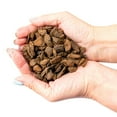 ⭐ PREMIUM New Zealand Pinus Radiata Bark - Organic Hand Mixed New ...