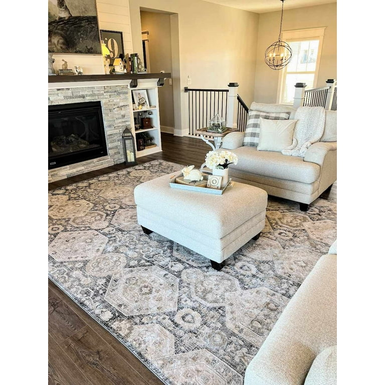 Gray And Brown Living Room Rug | Cabinets Matttroy