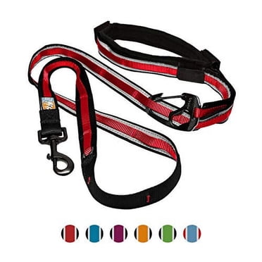 Invisible Dog Leash - Walmart.com
