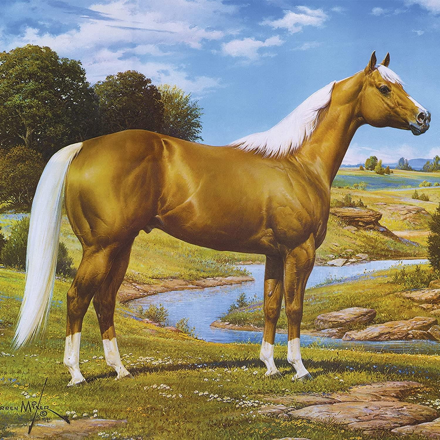 Palomino Paint Quarter Horse