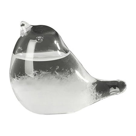 Storm Glass Weather Forecaster Weather Station Liquid Barometer Weather ...