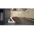 SureFlap MPF001 Surefeed Microchip Pet Feeder - Uses Microchip or ...