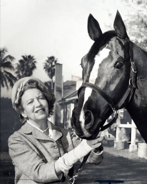 Print: Businesswoman Elizabeth Graham, (Better Known As Elizabeth Arden ...