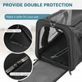 Petsfit Airline Approved Dog Carrier Cat Carrier, Soft-Sided ...