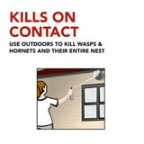 Raid Max Foaming Wasp & Hornet Killer, 13 oz - Long Distance Insect ...