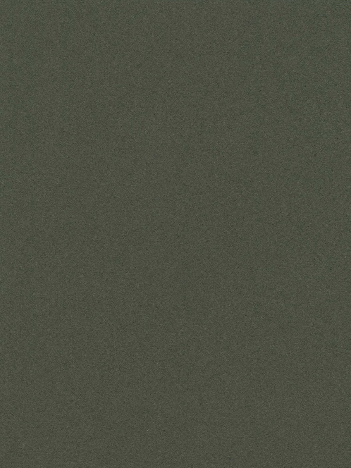 Mi-Teintes Mat Board ivy, 16 in. x 20 in. (pack of 5) - Walmart.com