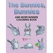 Snow Rabbit Spring Rabbit A Book of Chan (Board Book) - Walmart.com