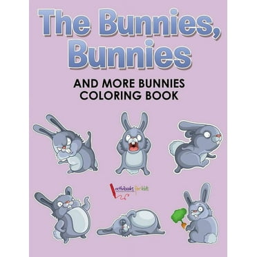 Snow Rabbit Spring Rabbit A Book of Chan (Board Book) - Walmart.com