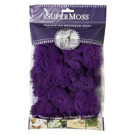 Super Moss 25124 Reindeer Moss Purple | Walmart Canada