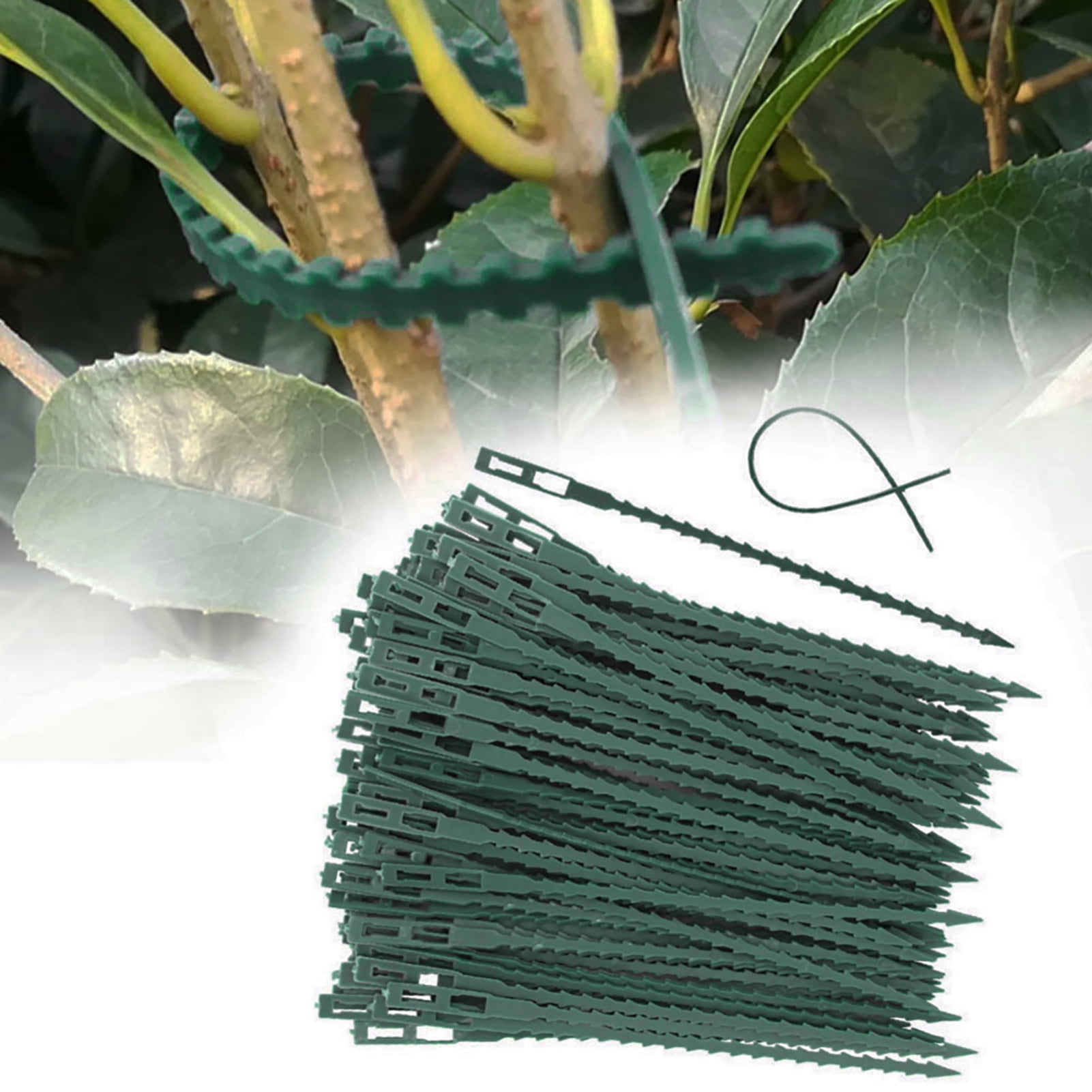 SPRING PARK 50Pcs Plant Ties Adjustable Reusable Garden Zip Tie Locking ...