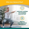 Genacol Plus – Glucosamine & Ultra-Hydrolyzed Collagen for Joint ...