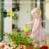 2Pcs Mini Watering Can, Sprinkler Bucket for Kids Metal Gardening Water ...