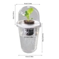 Transparent Aerating Planter Container with Visible Root for Flower and ...