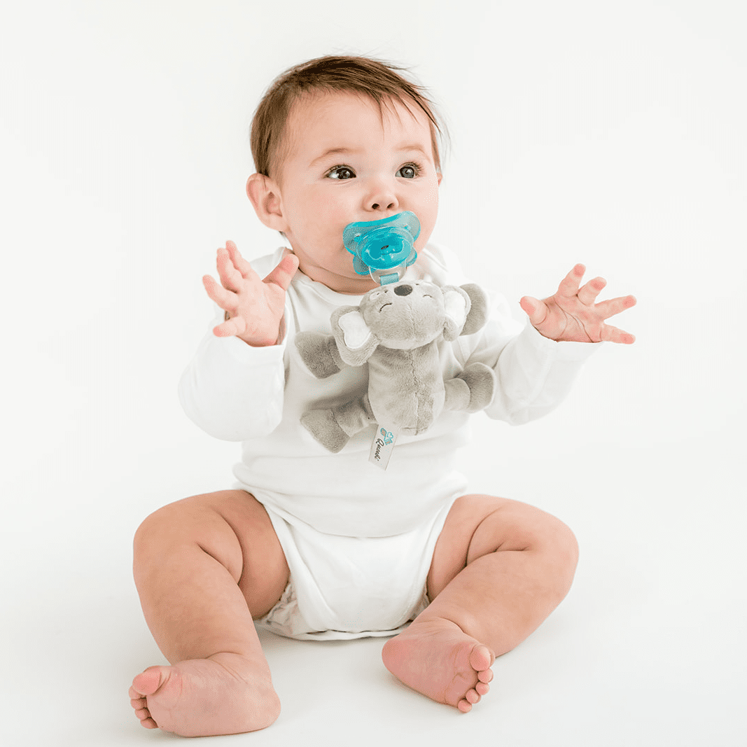 Queebi PaciBuddy Koala Pacifier Holder - Plush Toy Includes Detachable ...
