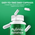 Pulmo Balance Capsules – PulmoBalance Natural Blend Daily Breathing ...