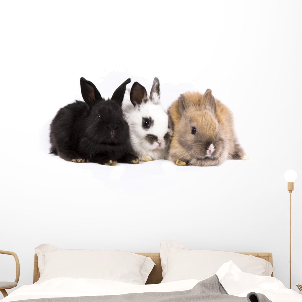 Three Bunny Rabbits Wall Decal by Wallmonkeys Peel and Stick Graphic ...