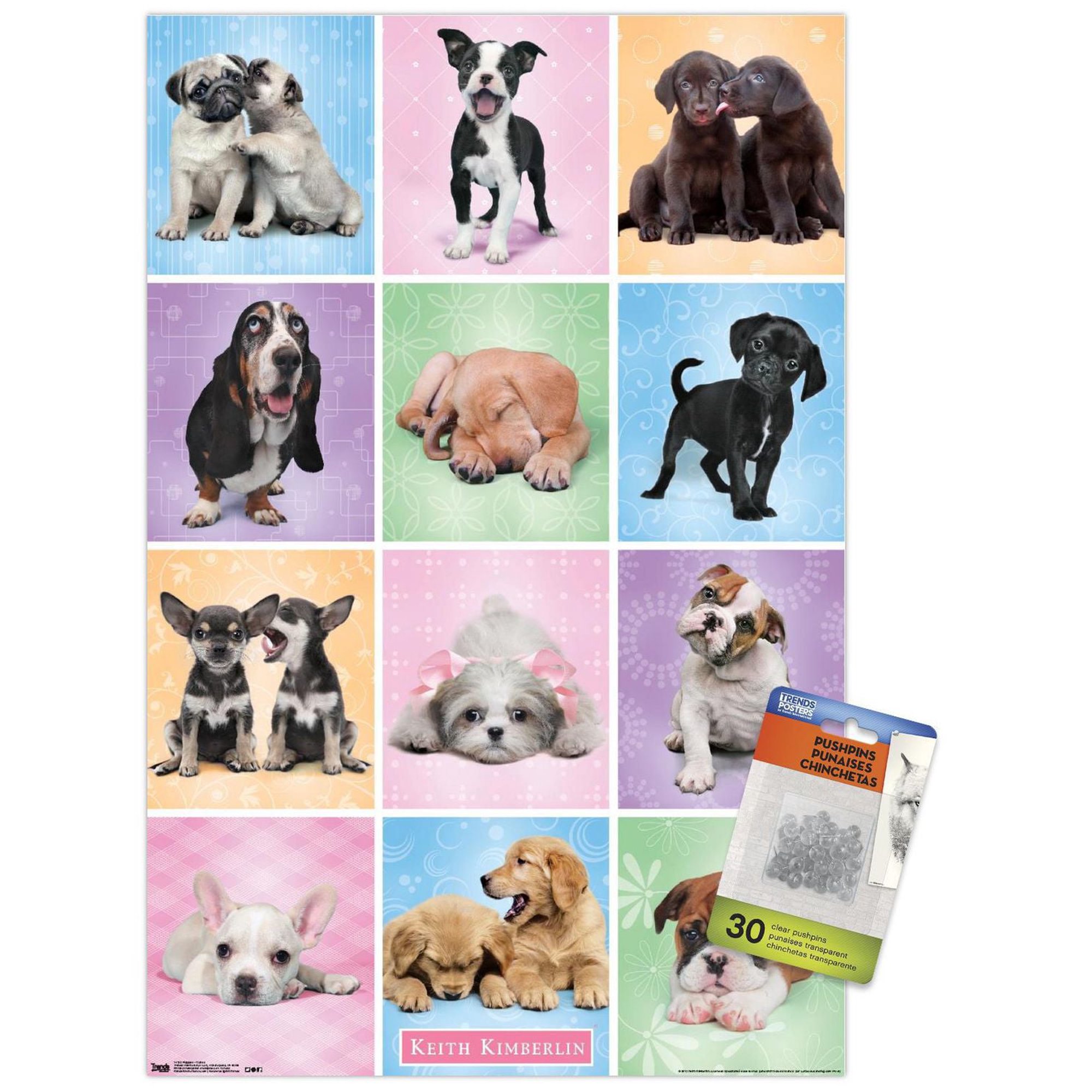 Click here for Trends International Keith Kimberlin - Puppies - C... prices