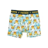 Pokemon Boys Boxer Briefs 4 Pack Moisture Wicking All Over Print Sizes ...