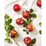 Fresh McIntosh Apples, 9-Count Box (4 lb.) - Walmart.com